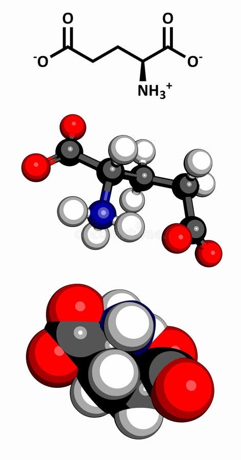 Glutamic Acid (Glu, E, Glutamate) Amino Acid and Neurotransmitter ...