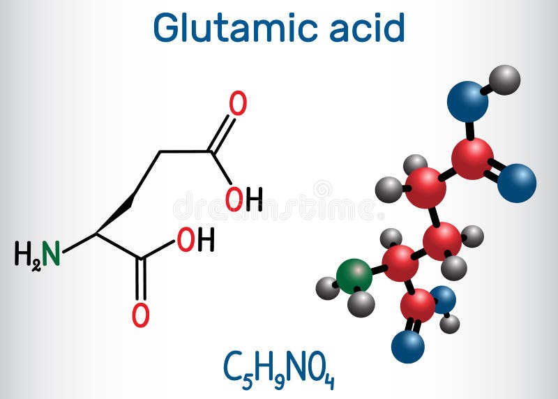 Glutamic Acid L- Glutamic Acid, Glu, E Aliphatic Amino Acid Molecule ...