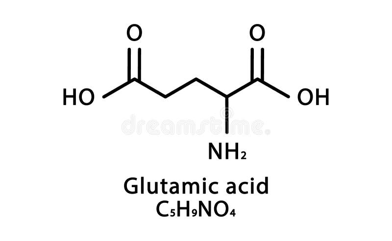 Glutamic Acid L- Glutamic Acid, Glu, E Aliphatic Amino Acid Molecule ...