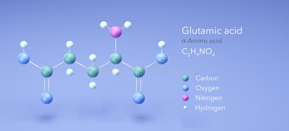 Glutamic Acid, Molecular Structures, Amino Acid, 3d Model, Structural ...