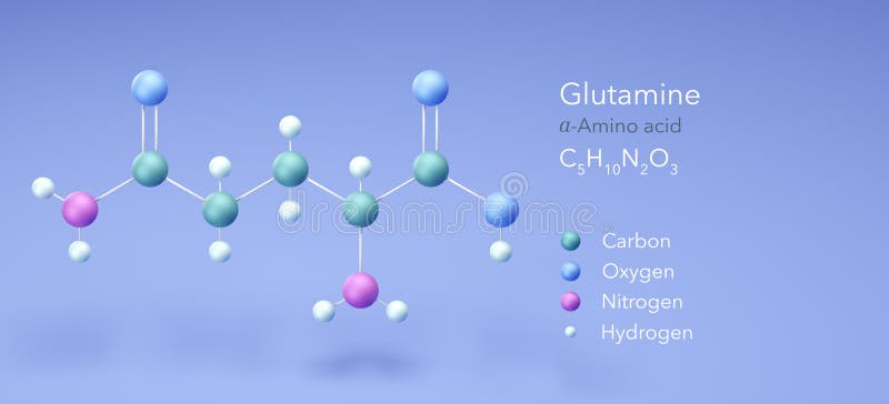 Glutamine Molecular Structure, 3d Model Molecule, Polar Amino Acid, Structural Chemical Formula ...