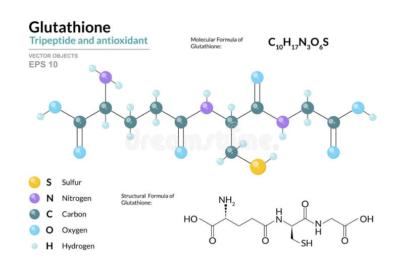 Glutathione, GSH, C10H17N3O6S Molecule. it is an Important Antioxidant ...