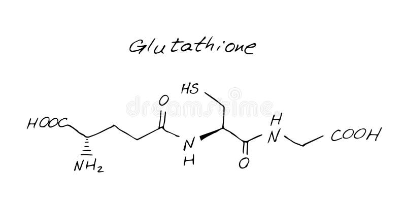 Glutathione GSH Molecule, is an Important Antioxidant in Plant Stock ...