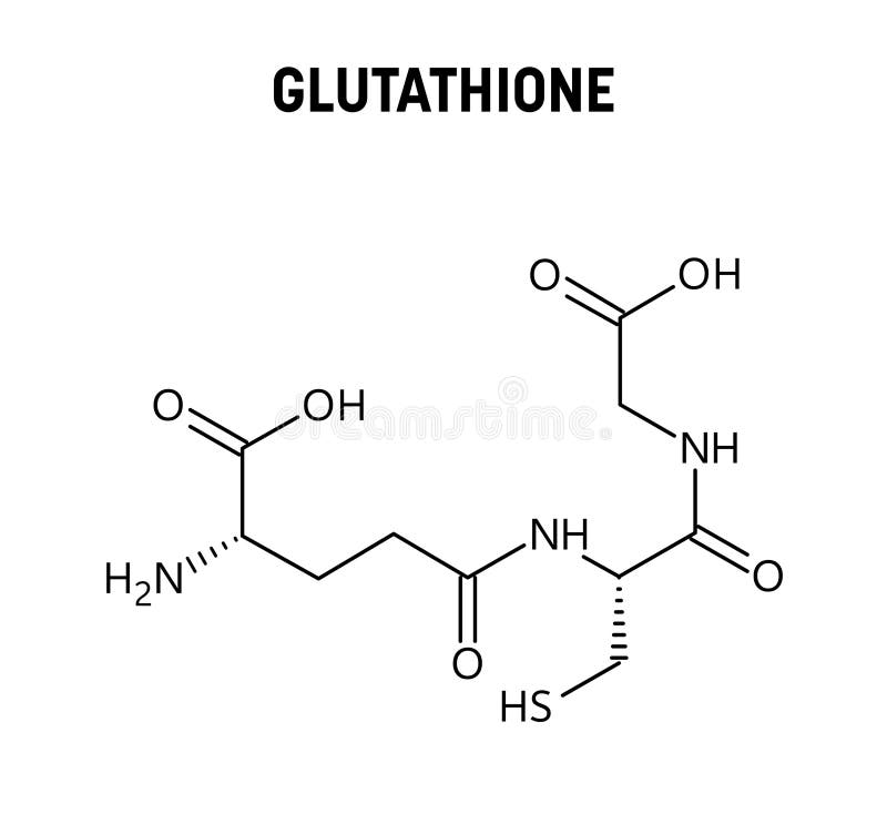 Glutathione Structural Formula of Molecular Structure Stock Vector ...