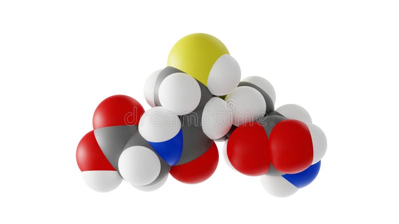 Glutathione Molecule, Antioxidant, Molecular Structure, Isolated 3d ...