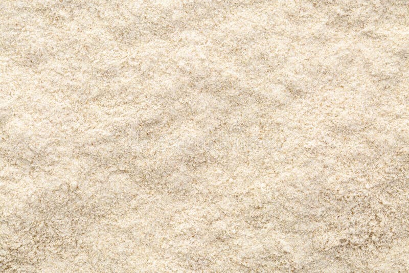 Gluten Free Ivory Teff Flour Stock Photo - Image of view, ingredient ...