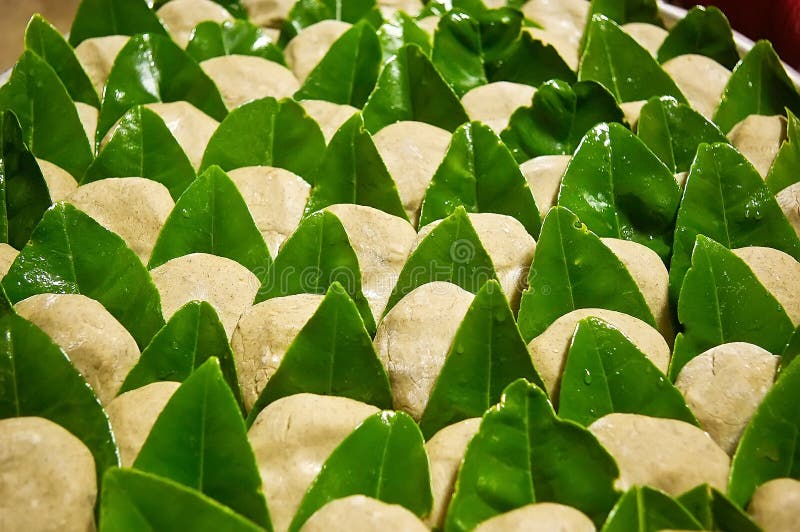 Glutinous rice cake stock image. Image of china, rice - 14258617