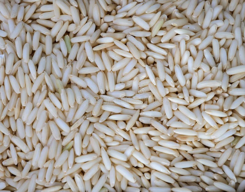Glutinous Rice Grain Background Stock Photo - Image of waxy, health ...