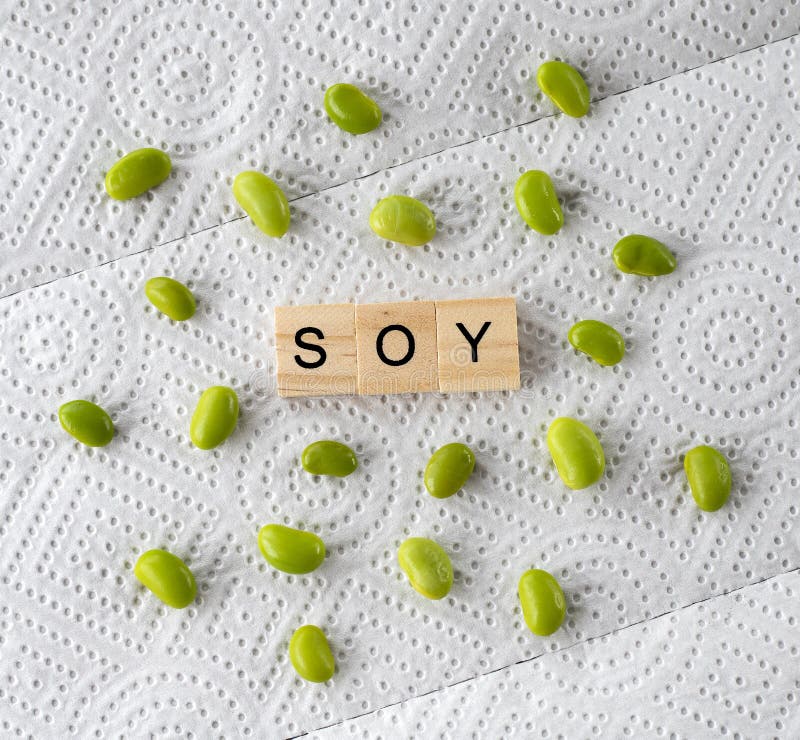 Glycine Max - Fresh Organic Soy Beans Stock Image - Image of soya ...