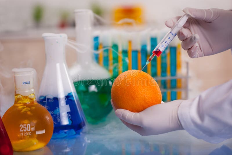 GMO Experiment Scientist Injecting Liquid into Orange in Agricultural ...