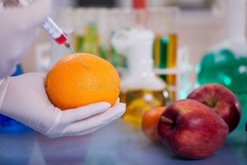 GMO Experiment Scientist Injecting Liquid into Orange in Agricultural ...