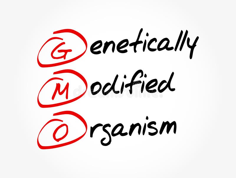 GMO - Genetically Modified Organism Acronym, Concept Background Stock ...