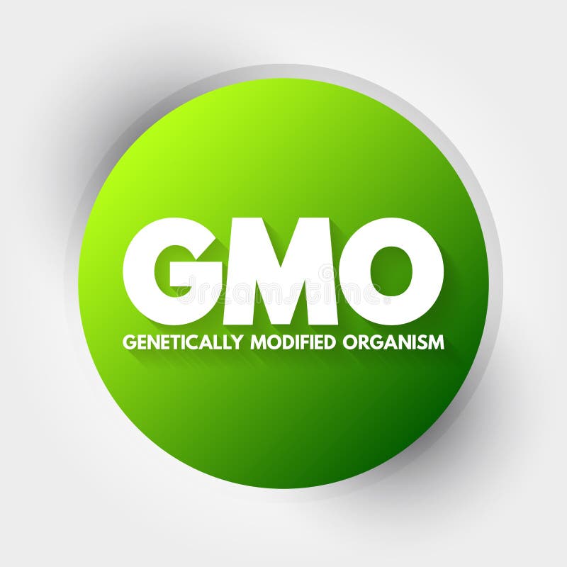 GMO - Genetically Modified Organism Acronym, Concept Background Stock ...