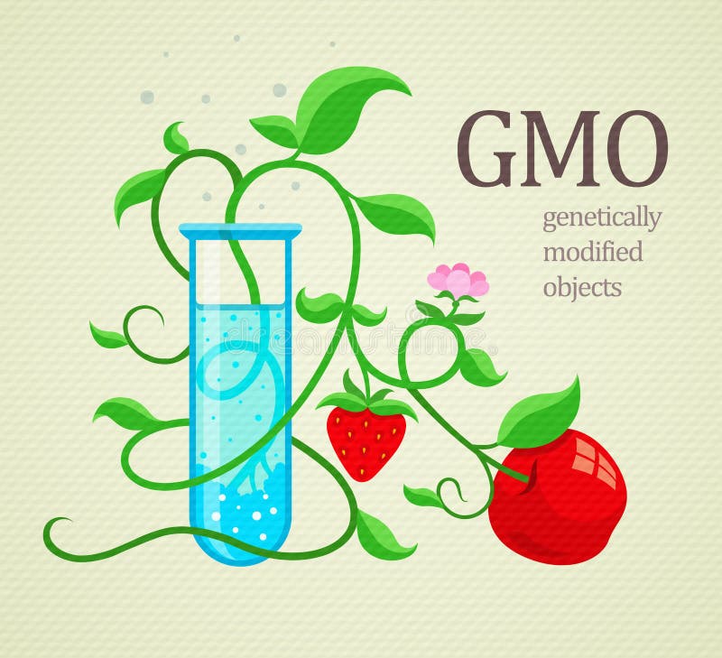 GMO Genetically Modifiedplants Growing in Test-tube. Illustration ...