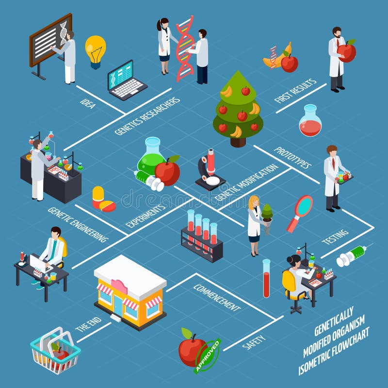 Gmo Isometric Flowchart stock vector. Illustration of experiment ...
