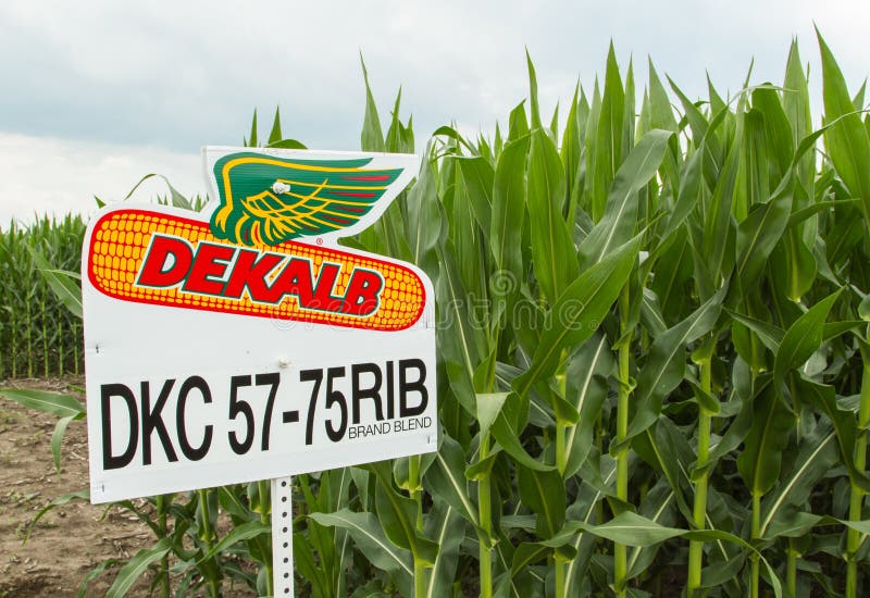 Genuity Stock Photos - Free & Royalty-Free Stock Photos from Dreamstime