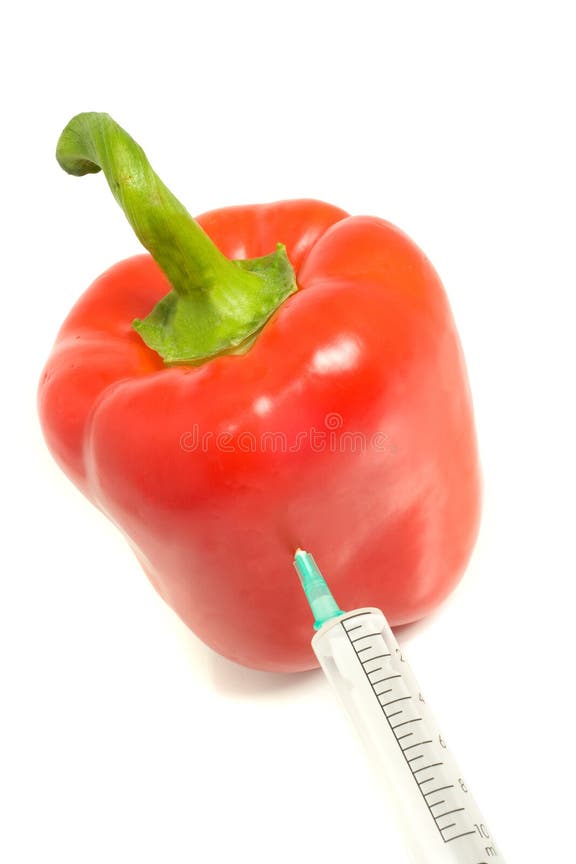 GMO - Pepper with Syringe Injection Stock Photo - Image of food ...