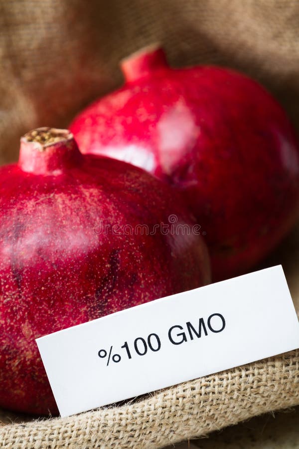 GMO pomegranates stock photo. Image of health, genetically - 48148826