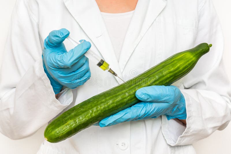 GMO Scientist Injecting Liquid from Syringe into Cucumber Stock Photo ...