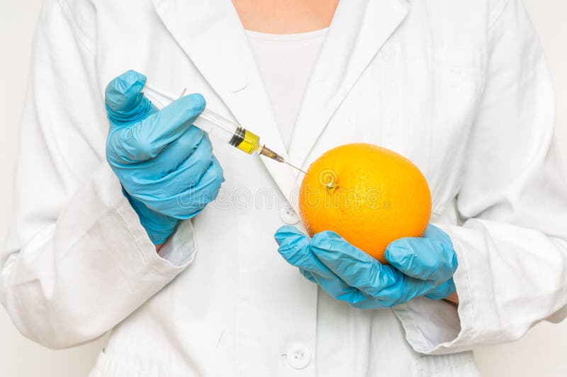 GMO Scientist Injecting Liquid from Syringe into Orange Stock Photo ...