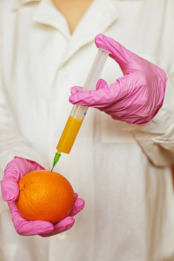 Transgenic Fruit Stock Photos - Download 225 Royalty Free Photos