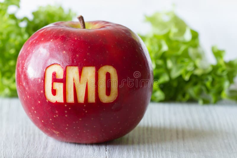 GMO Text on Red Apple, Concept of Genetically Modified Foods Stock ...