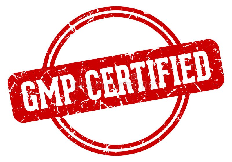 Gmp certified stamp stock vector. Illustration of good - 352608648