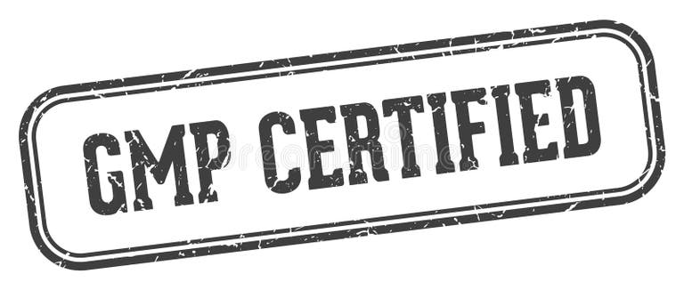 Gmp Certified Stamp. Gmp Certified Rectangular Stamp on White ...