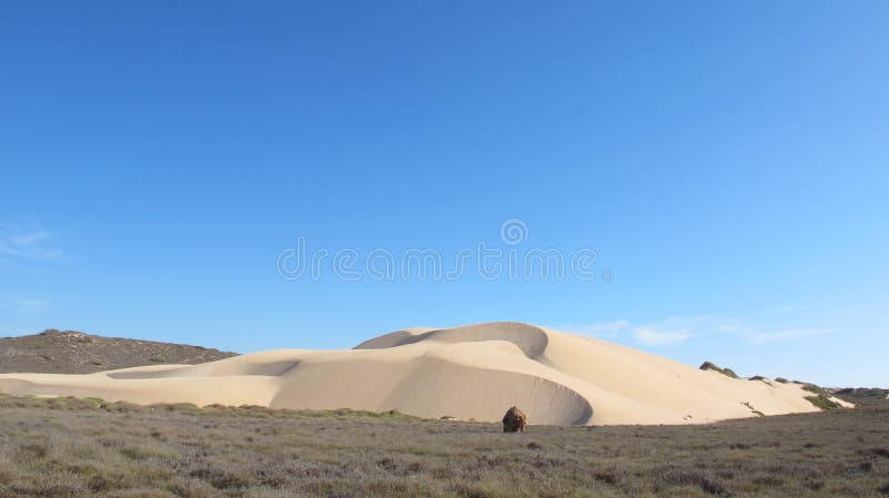 Gnaraloo Station, Western Australia Stock Photo - Image of lagoon ...