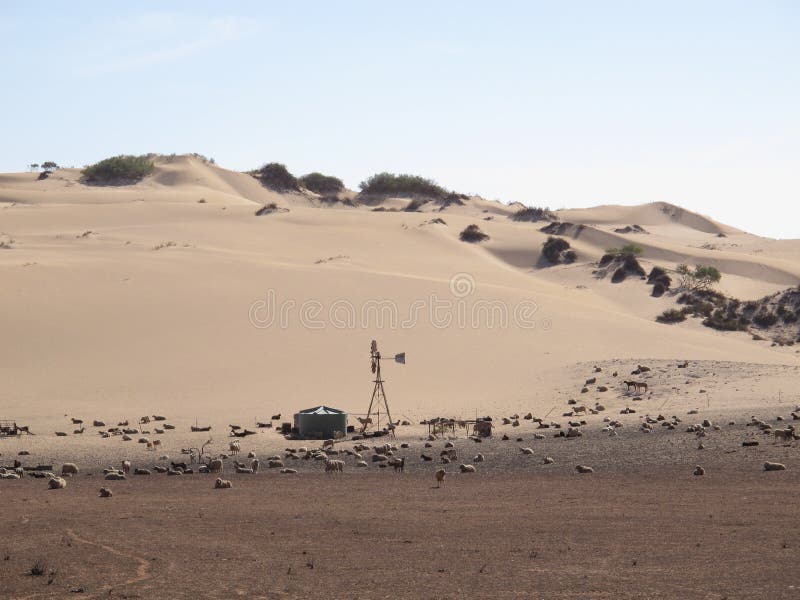 Gnaraloo Station, Western Australia Stock Image - Image of holiday ...