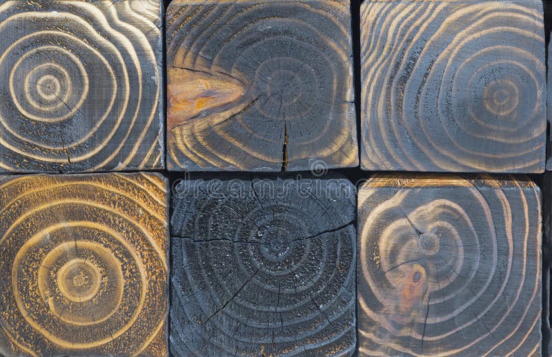 Gnarl Texture Patterns that are Varied and Different in Nature O Stock ...