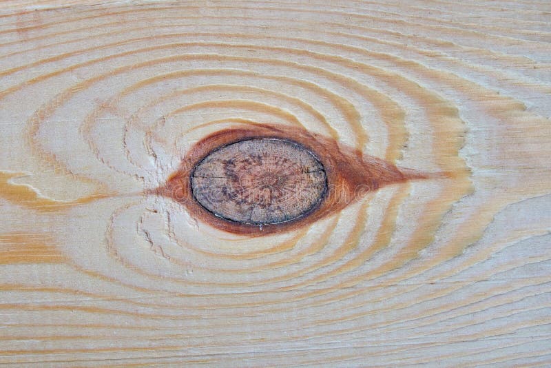 The Gnarl Texture of Pine Wood Stock Image - Image of light, natural ...