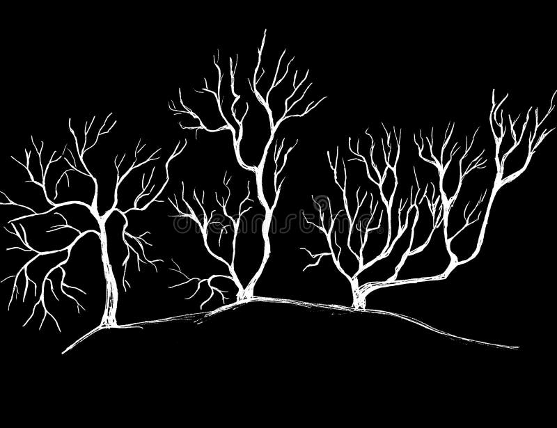 Gnarled Tree Bare Branches Stock Illustrations – 46 Gnarled Tree Bare ...