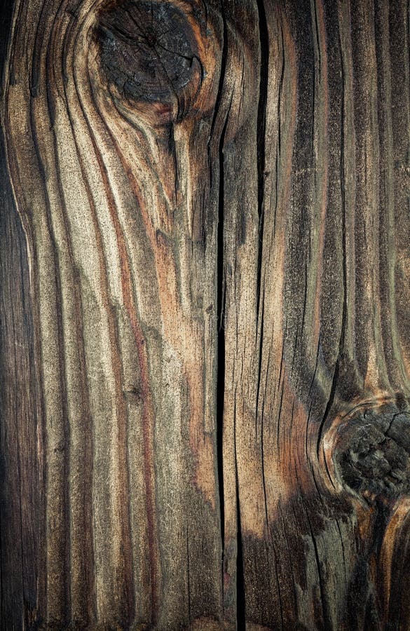 Gnarly Wood Texture . Vertical Shot Stock Photo - Image of timber ...