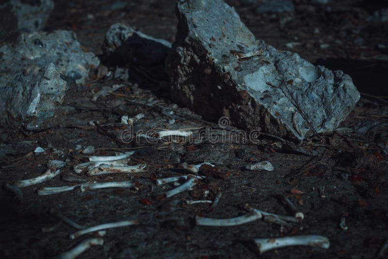 Ground Stones Bones Texture Stock Photos - Free & Royalty-Free Stock ...