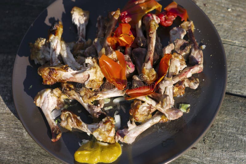Gnawed chicken bones stock image. Image of macro, sunny - 182313509