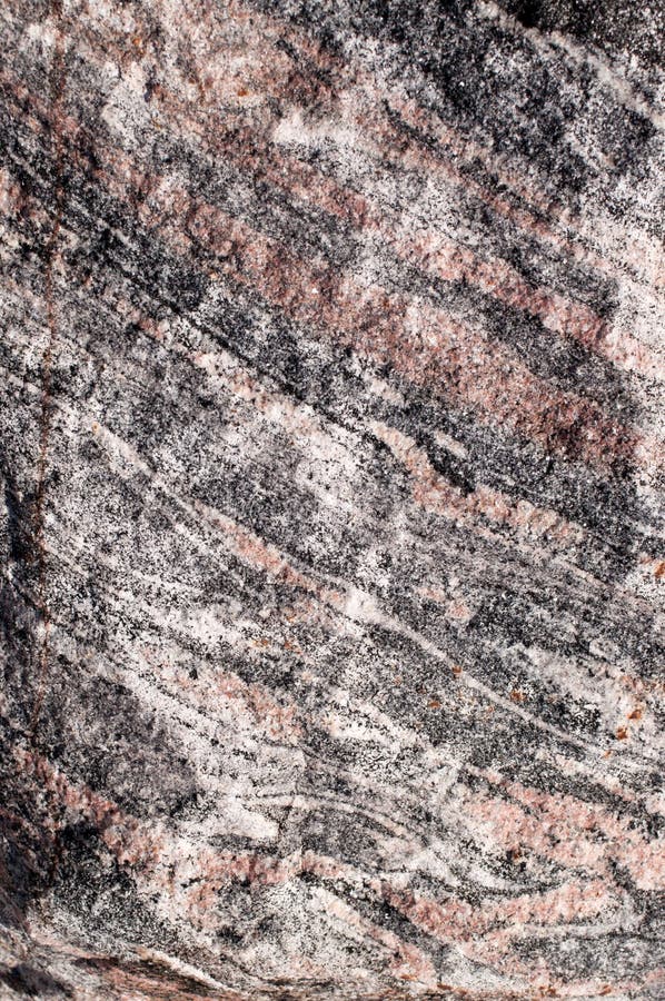 Gneiss Rock stock image. Image of metamorpic, gneiss - 21031823