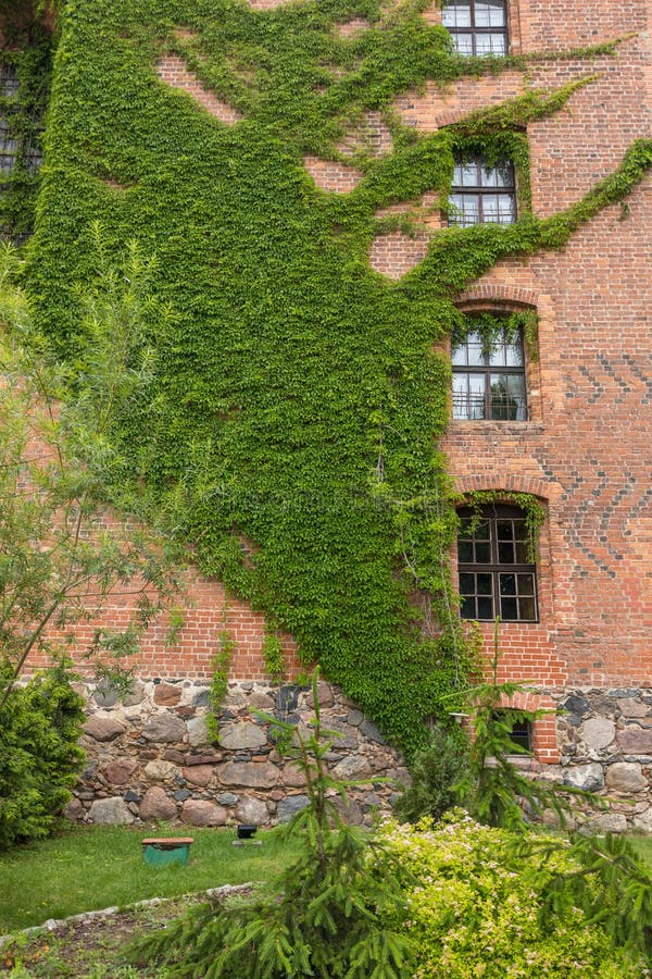 Gniew Castle is a Former Castle of the Teutonic Knights Order, Poland ...