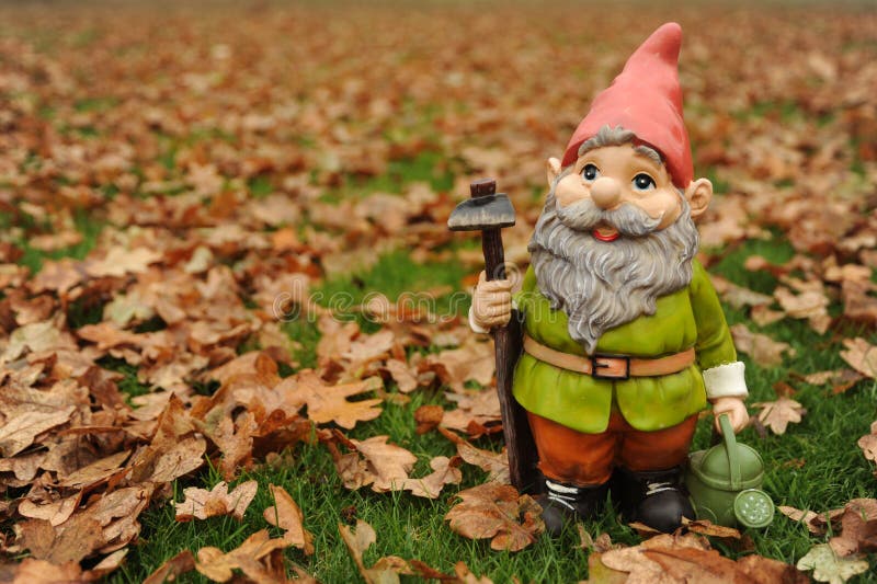 Gnome de jardin d'automne image stock. Image du pelouse - 19939235