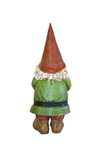Gnome in Green Suit and Red Pointed Hat in Back Side View Stock Photo ...