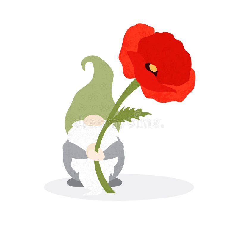A Gnome Holding a Poppy Flower Stock Vector - Illustration of beard ...