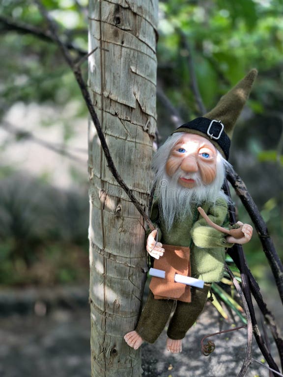 Gnome in the Shadow with Light on His Face, is Next To the Rustic Trunk ...