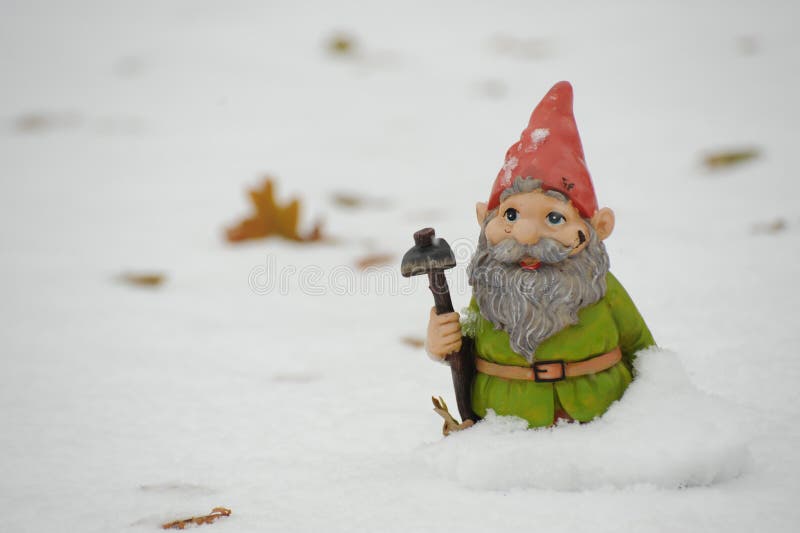 Gnome in the snow stock image. Image of white, frozen - 20073275