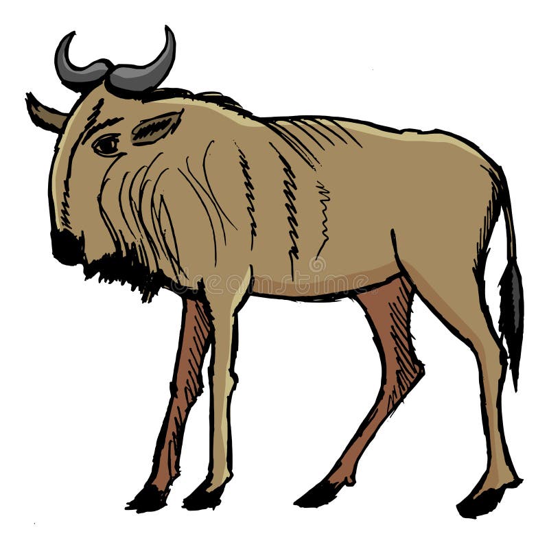 Gnu, african animal stock illustration. Illustration of nature - 66225550