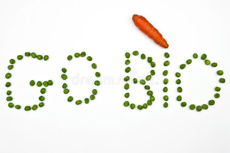 Planet Earth in the hand stock photo. Image of globe - 60640756