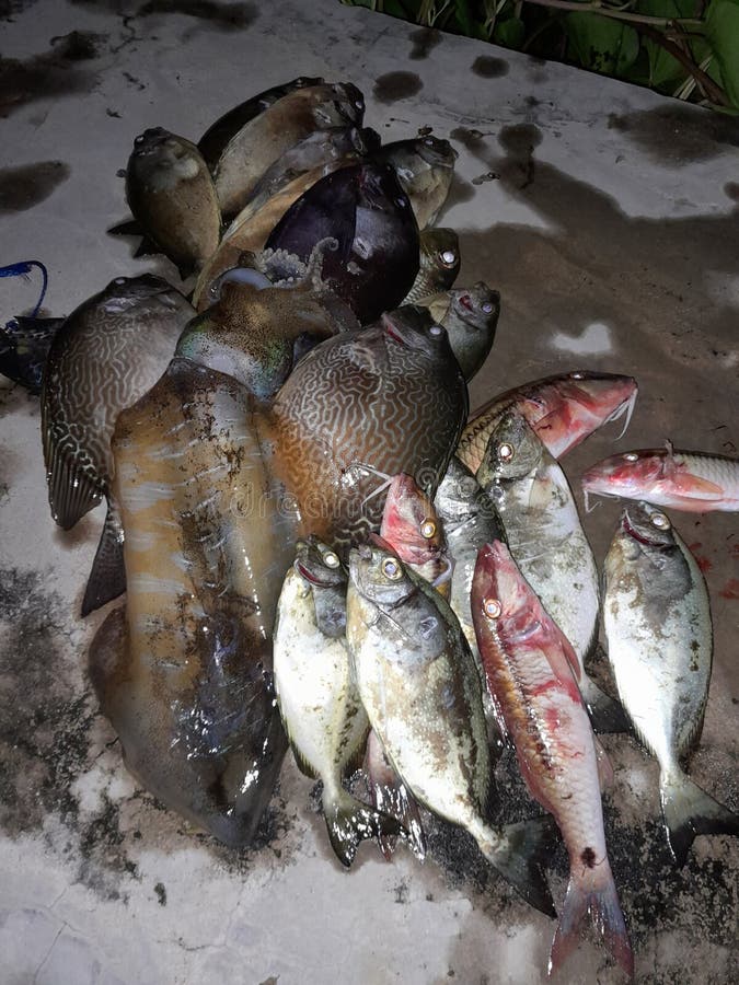 Go Fishing and Release Your Burdens and Problems Stock Image - Image of ...