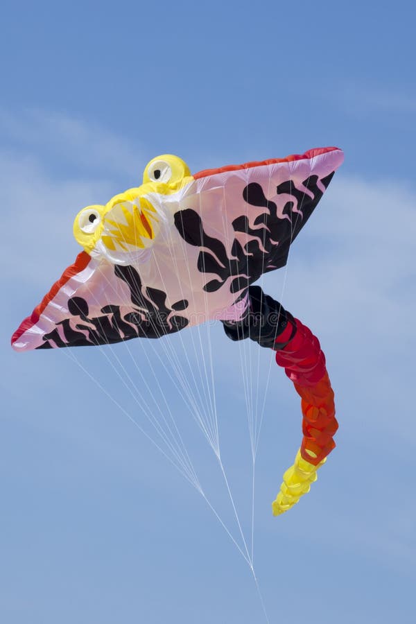 Go fly a stingray kite editorial stock image. Image of intensity - 55121429