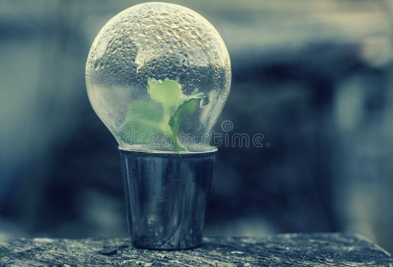 Go green stock photo. Image of light, dusk, green, craft - 87664508