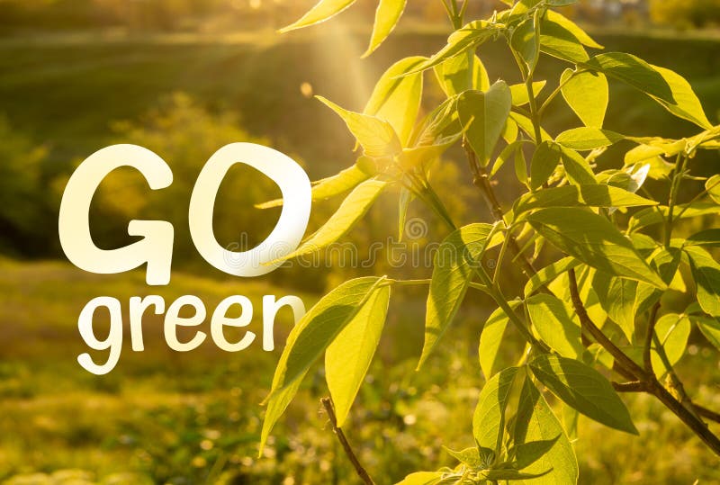 Go Green - Slogan on Summer Sunny Background Stock Photo - Image of ...