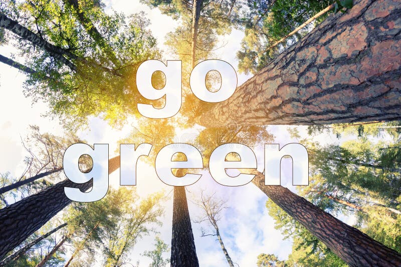 Go Green Tree Stock Images - Download 2,538 Royalty Free Photos